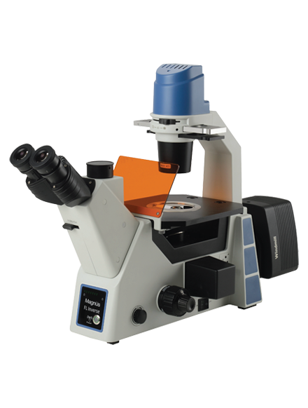 Buy FL Inverse Inverted Biological Microscope Online in India | Magnus