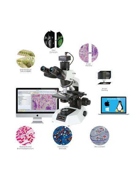 Buy Magvision Image Analysis Software Online in India | Magnus