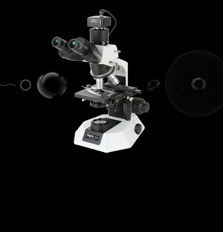 Home page [magnusopto.com]